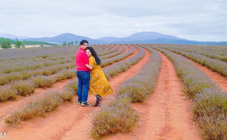 love | Lê Vĩnh Tài – Nguyễn Thị Phương Trâm