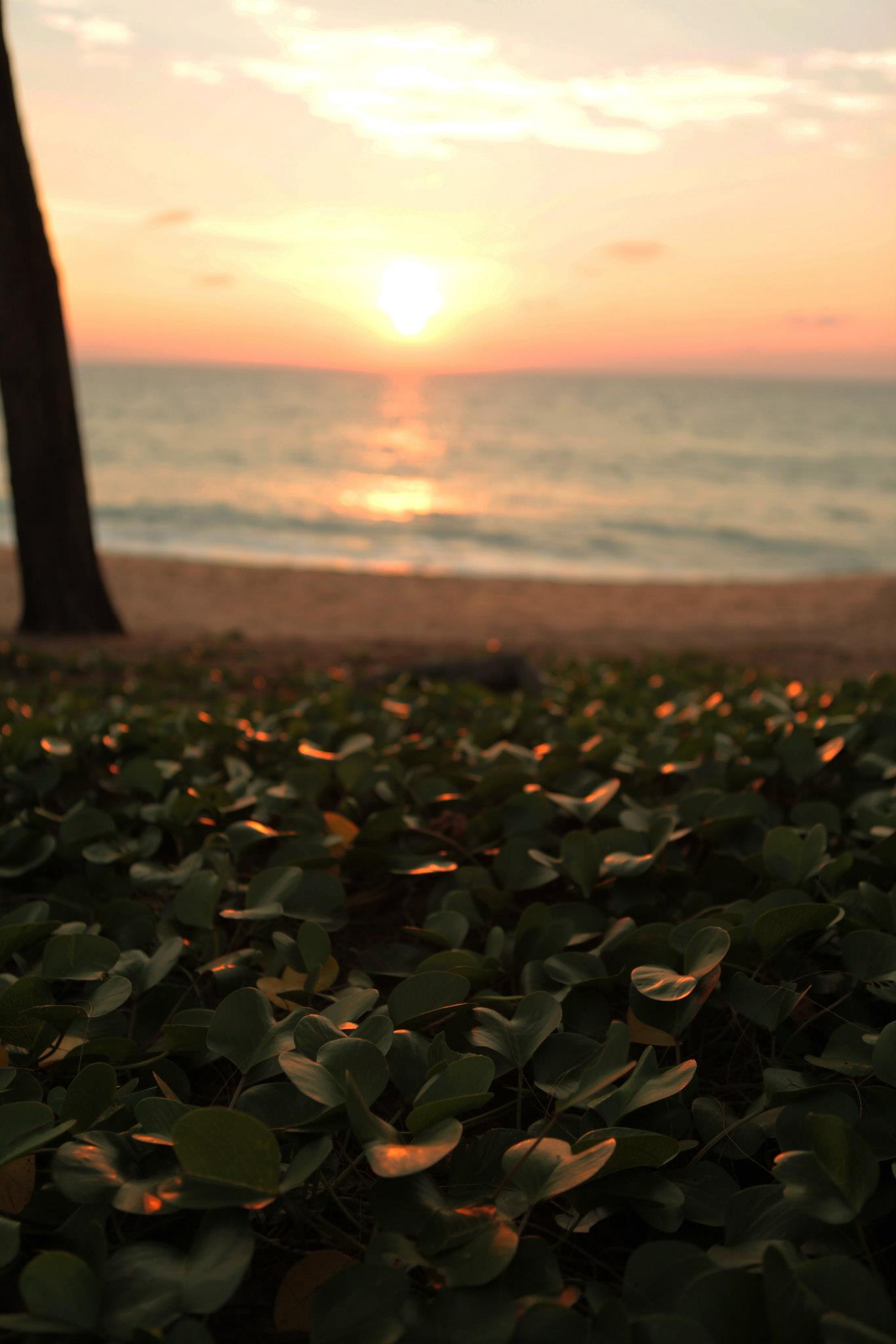 HEART BOUND IS AN EPIC TALE OF THE SEA | Lê Vĩnh Tài [487] – Nguyễn Thị ...