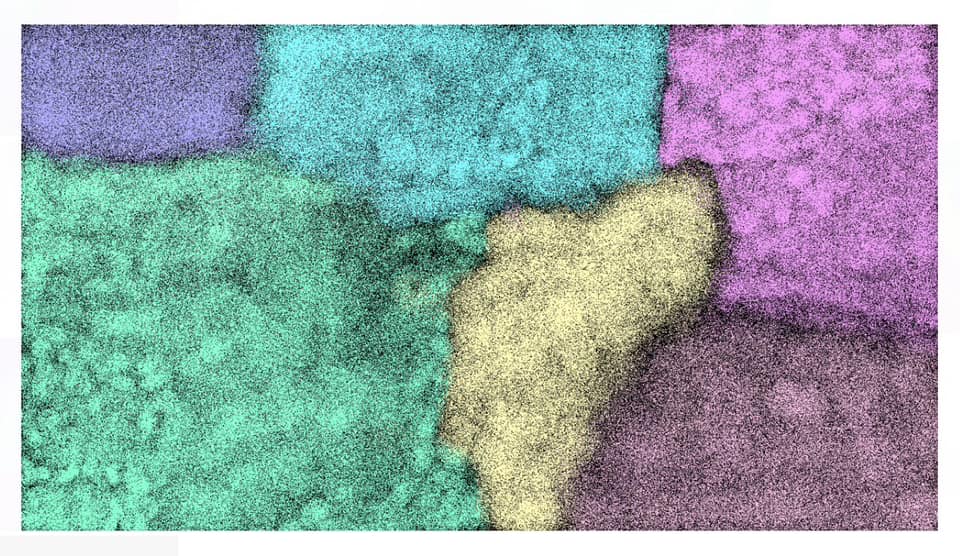 Poetry | Trần Duy Trung – Nguyễn Thị Phương Trâm