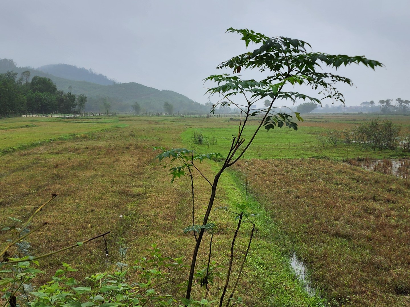 I cried | Quách Thoại – Nguyễn Thị Phương Trâm