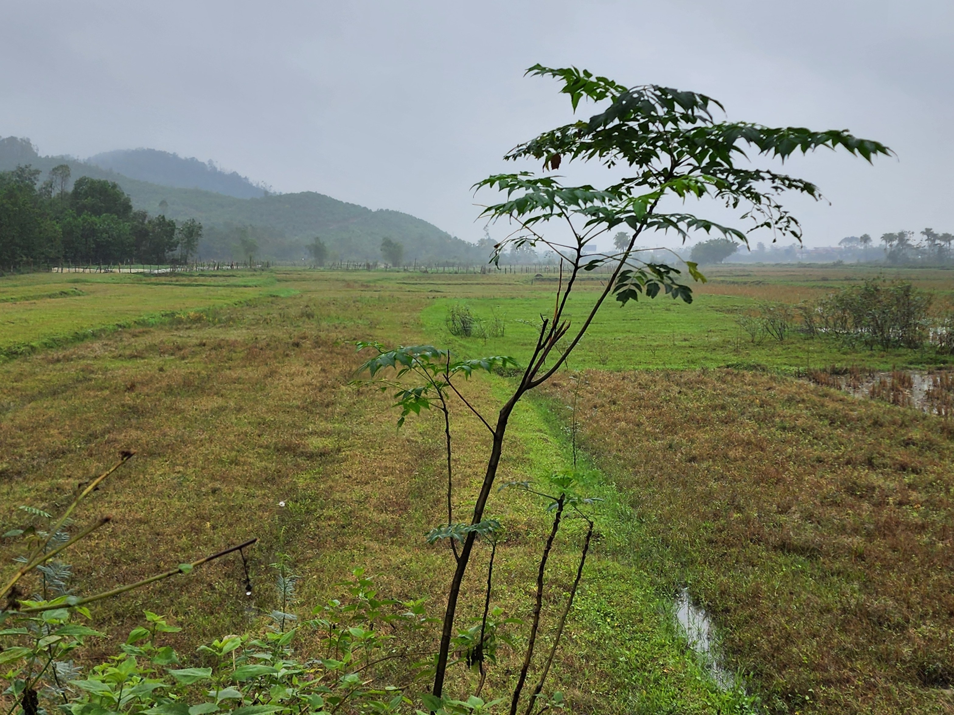 I cried | Quách Thoại – Nguyễn Thị Phương Trâm
